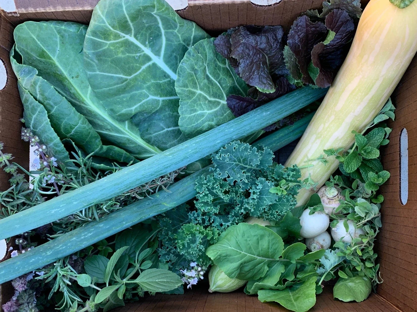 Organic Seasonal Harvest Box – Prosperity Market